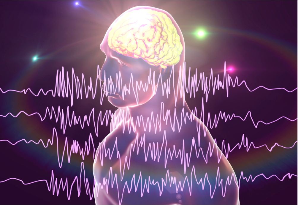 Understanding Sleep Cycle: A Guide to Peaceful Nights – wyattandfreunde